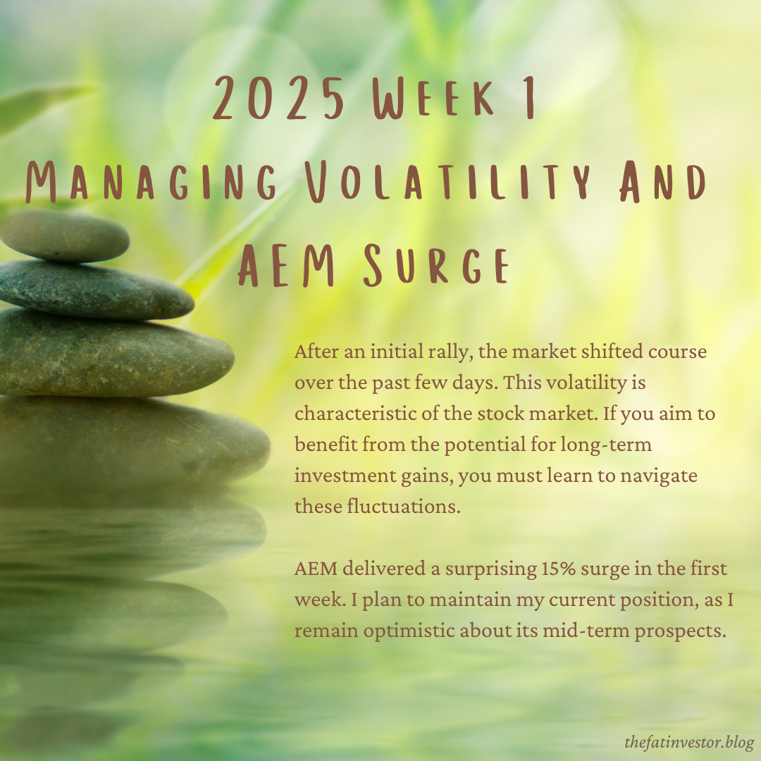2025 Week 1: Managing Volatility And AEM Surge – The Fat Investor